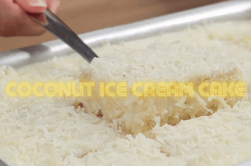 Coconut Ice Cream Cake